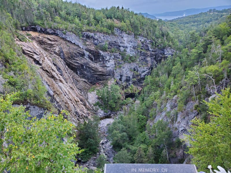 Gorge of Corner Brook stock photo. Image of wilderness - 196363954