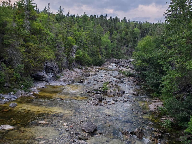 Gorge of Corner Brook stock photo. Image of tree, watercourse - 196363958