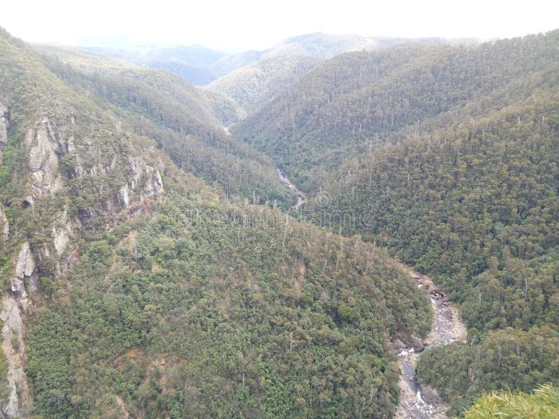 Gorge stock image. Image of nature, tasmania, trees - 136562427