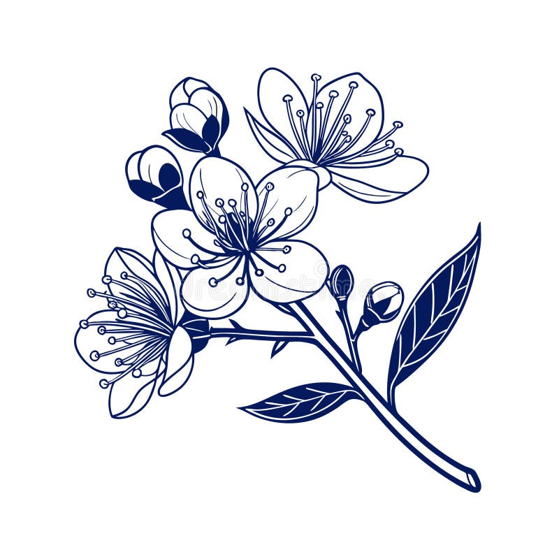 Gorgeous Blue Myrtle Flower Illustration Stock Image - Illustration of ...