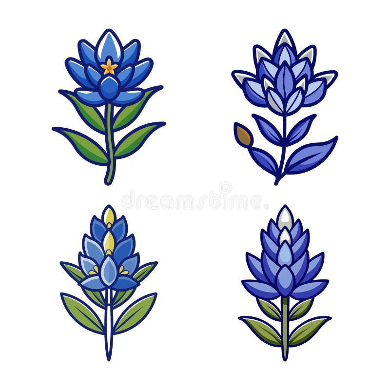 Gorgeous Bluebonnet Flower Illustration Stock Vector - Illustration of ...