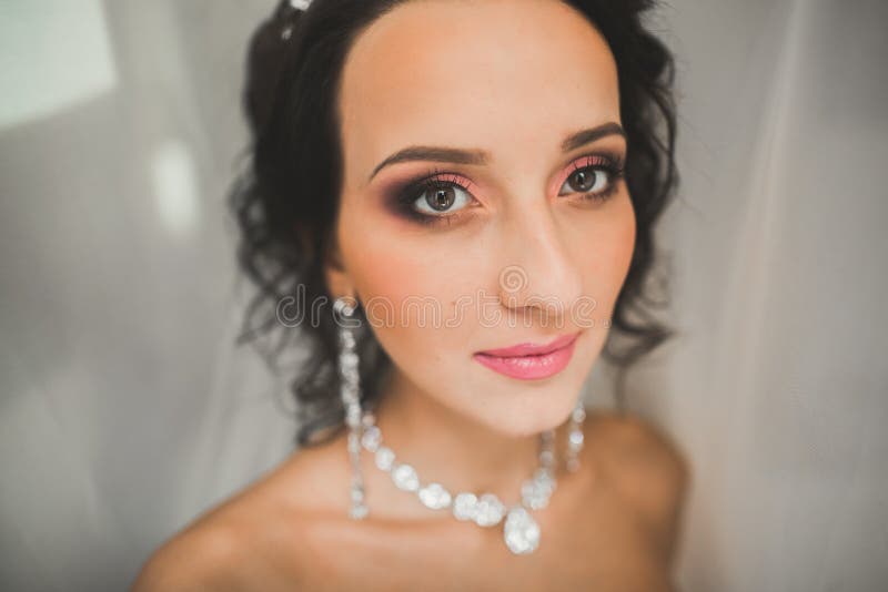 Gorgeous Bride in Robe Posing and Preparing for the Wedding Ceremony ...