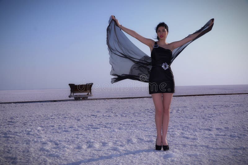Beautiful Young Brunette Girl in the Salt Flat Stock Photo - Image of ...