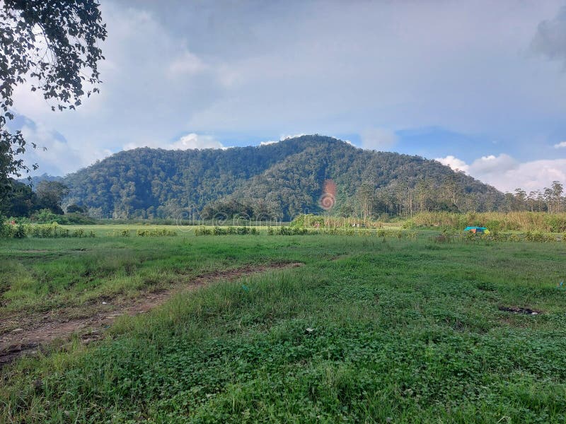 A Gorgeous Camp Zone in West Java Stock Photo - Image of grass, zone ...