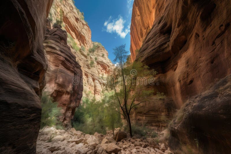 Gorgeous Canyon with Natural Rock Formations Towering Overhead Stock ...