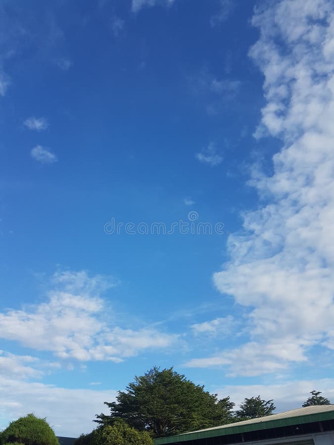 Gorgeous Cloud at the Sky with Tree in the Morning Stock Image - Image ...