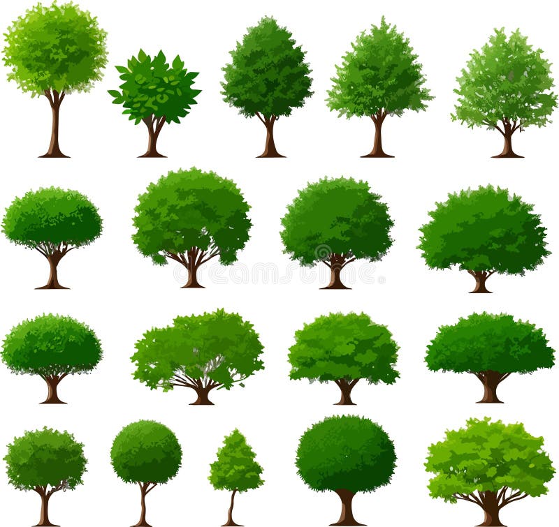 Gorgeous Forest Trees Bushes Plants Art Vector Stock Vector ...