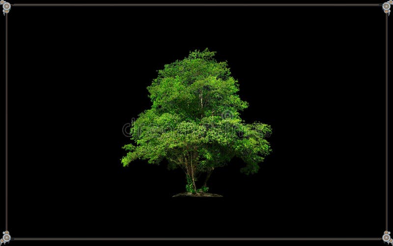 Illustration design stock illustration. Illustration of room - 128375682