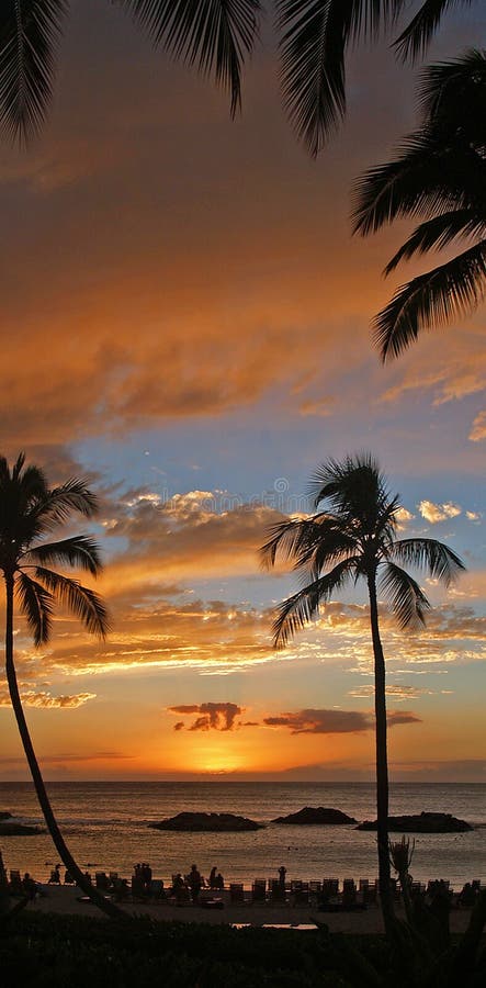 Tropical Sunset stock image. Image of honolulu, glow, travel - 6571397