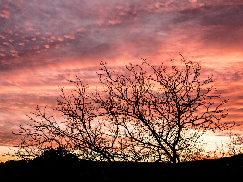 Gorgeous Sundown with Pink Lit Clouds Stock Image - Image of sunset ...