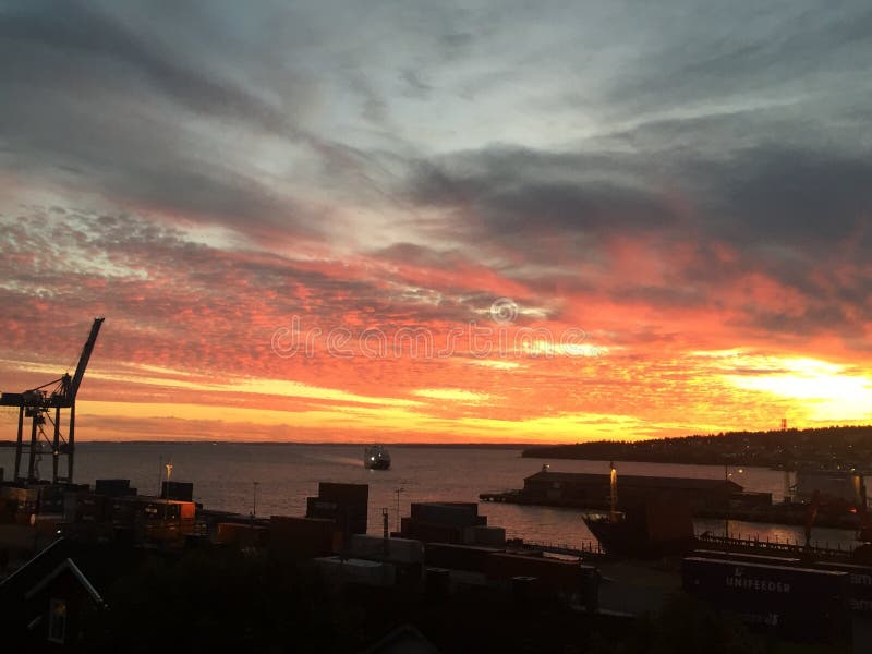 Gorgeous Sunset Sky Moss City Stock Photo - Image of city, moss: 60339704