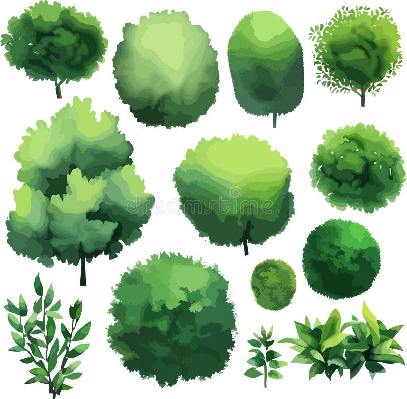 Gorgeous Trees Bushes Shrubs Top View Vector Stock Vector ...