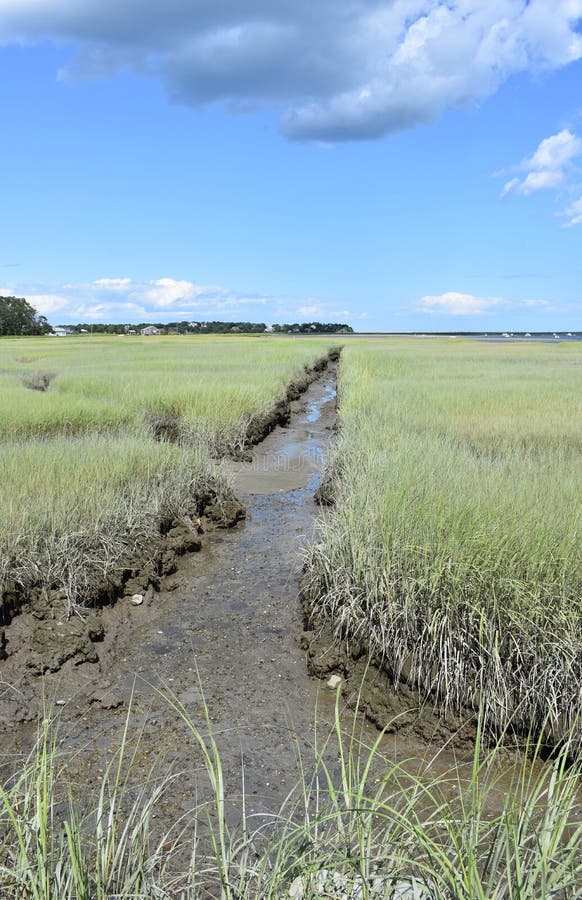 Gorgeous View of Scenic Marsh Land Landscape Stock Photo - Image of ...