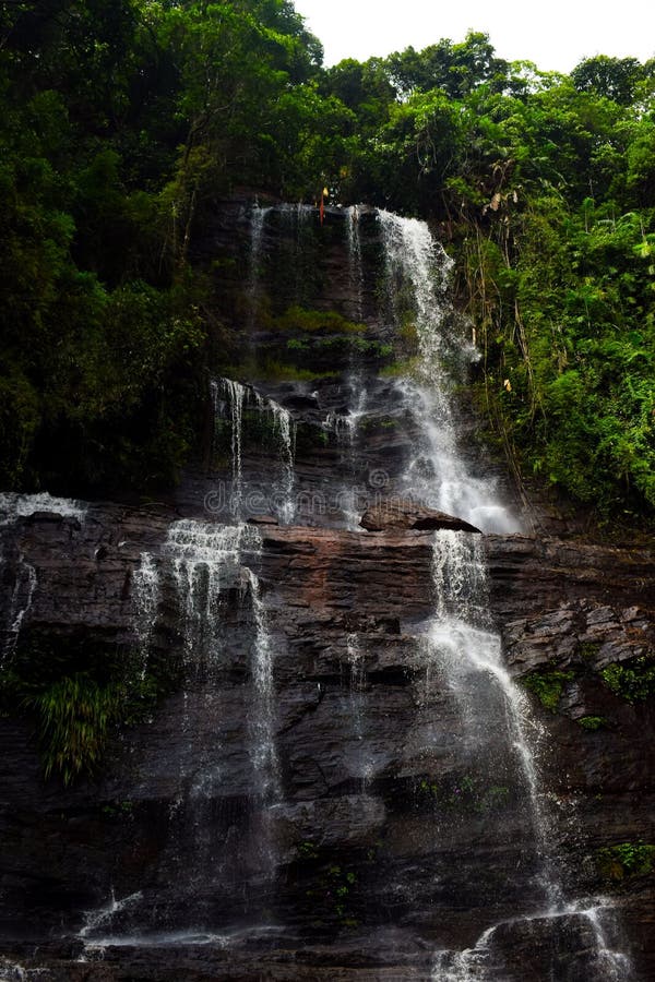 Gorgeous View of a Waterfall Streaming Down a Steep Cliff Surrounded by ...