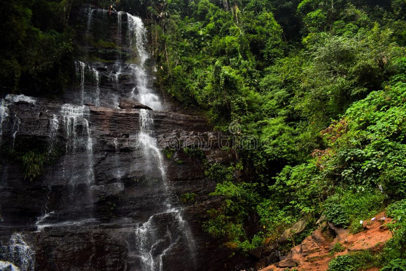 Gorgeous View of a Waterfall Streaming Down a Steep Cliff Surrounded by ...