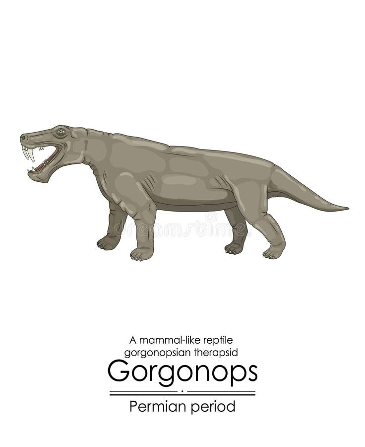 Prehistoric Gorgonopsian Stock Illustrations – 2 Prehistoric ...
