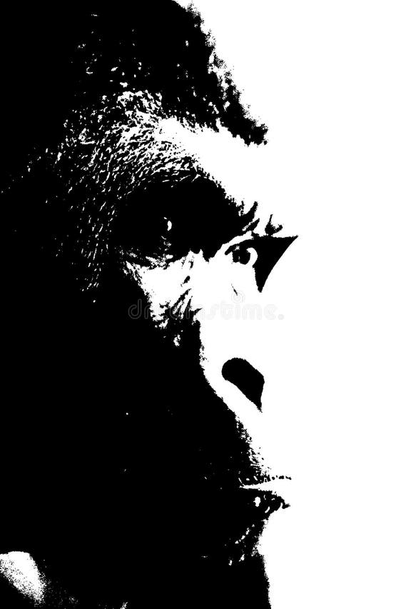 Gorilla Shadow Stock Illustrations – 1,025 Gorilla Shadow Stock ...