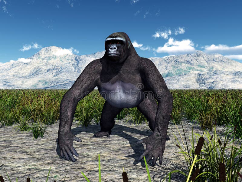 Ape Gorilla Computer Tablet Isolated Stock Illustration - Illustration ...