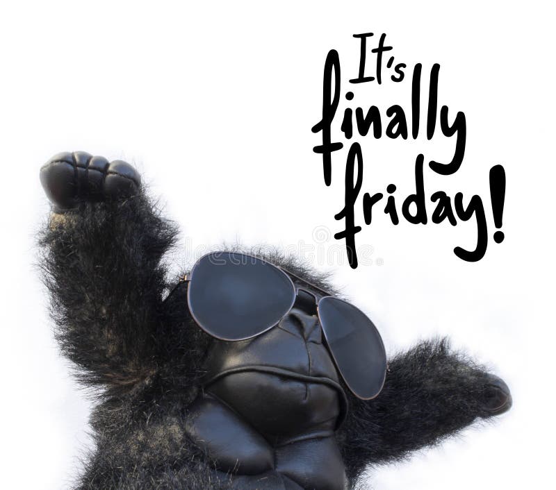 Gorilla and Funny Friday Message Stock Image - Image of victory, crazy ...