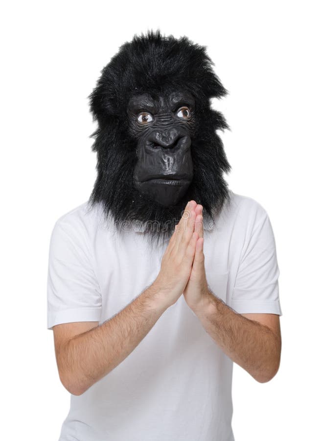 Gorilla man confused stock image. Image of horrify, office - 33351157