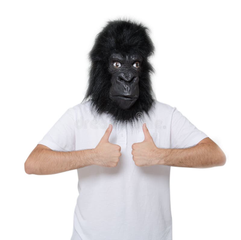 Gorilla man confused stock image. Image of horrify, office - 33351157