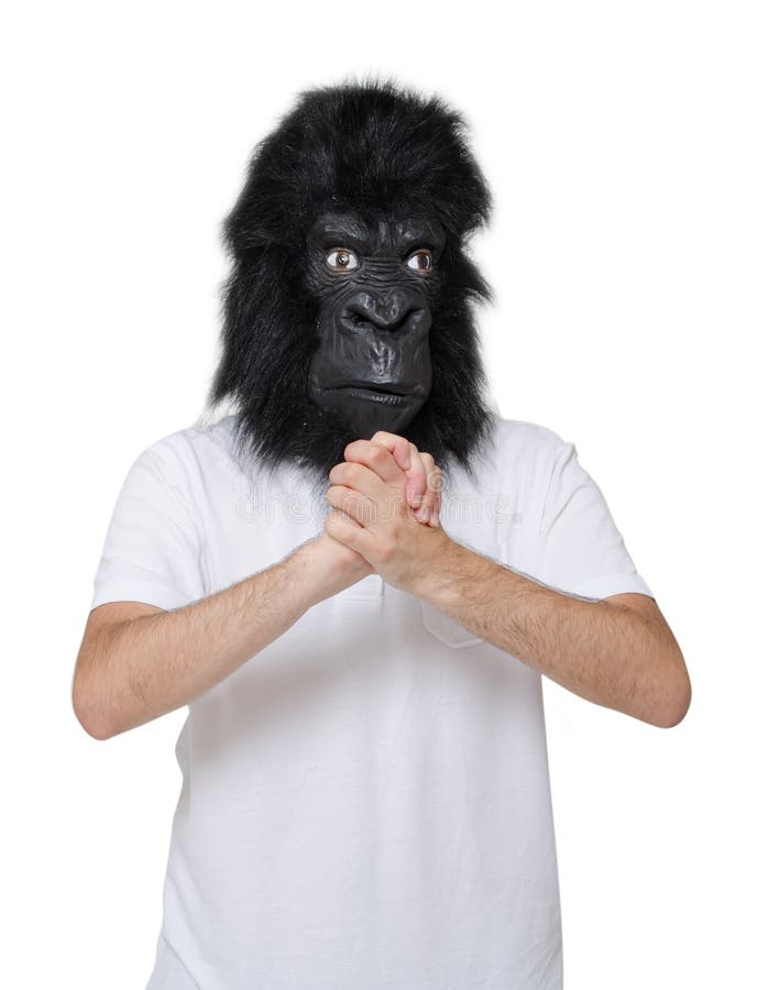 Gorilla man confused stock image. Image of horrify, office - 33351157