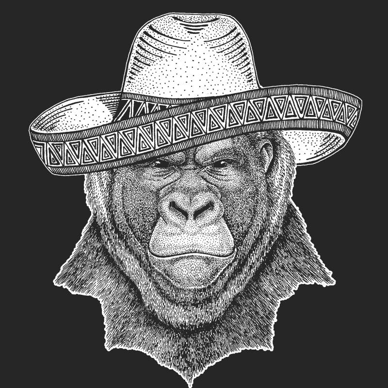 Gorilla, Monkey, Ape. Sombrero is Traditional Mexican Hat. Mexico ...
