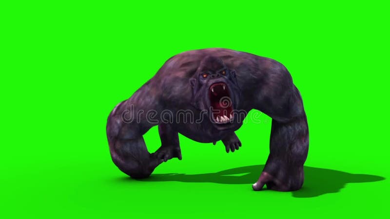 Gorilla Run Static Front Animals 3D Rendering Green Screen Animation ... Gorilla Run Static Front Animals 3D Rendering Green Screen Animation ...