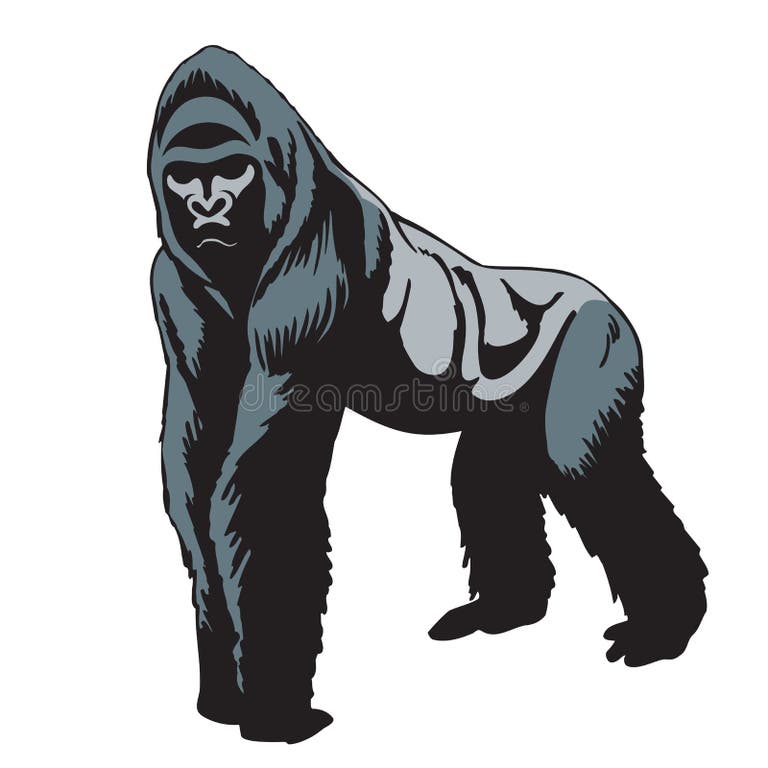 Silverback Stock Illustrations – 2,362 Silverback Stock Illustrations ...