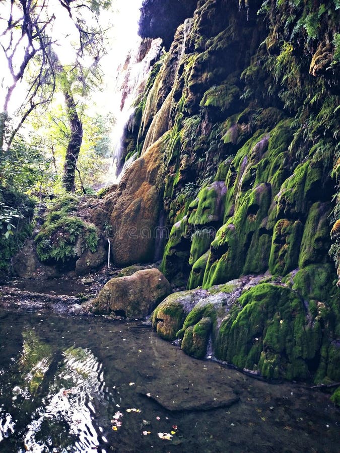 Gorman Falls, Colorado Bend State Park, Texas Stock Image - Image of ...