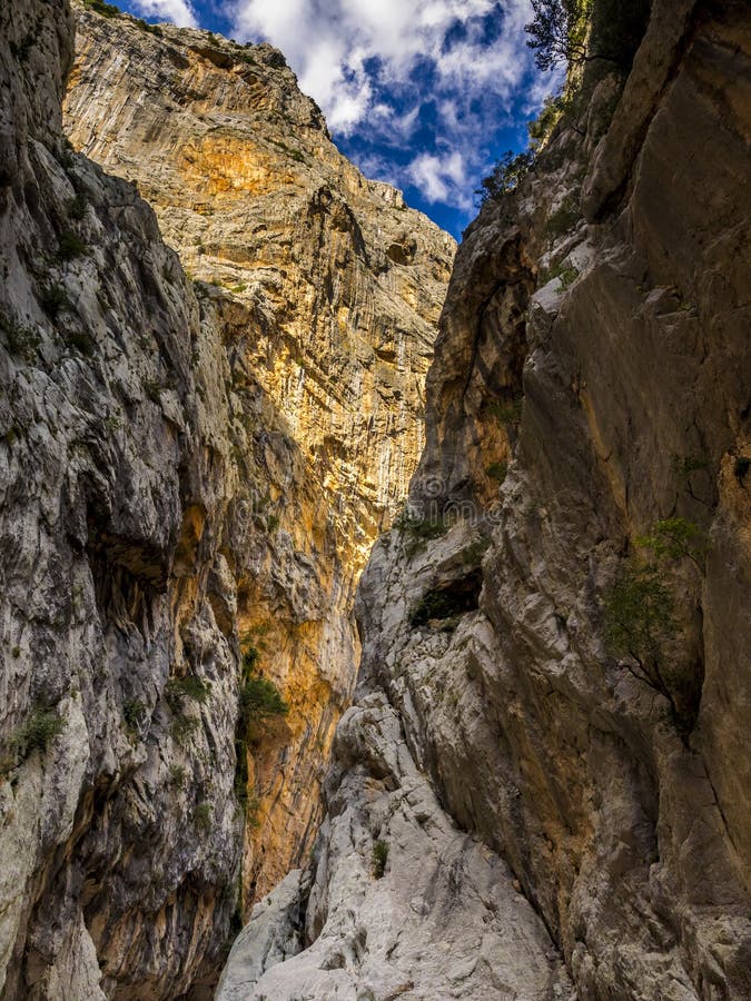 Gorropu gorges stock photo. Image of scenic, cliff, attraction - 59754316