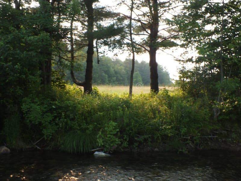 Goshen Ocean stock photo. Image of pond, loch, tree, water - 97490094