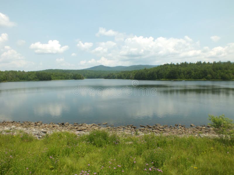 Goshen Ocean stock photo. Image of pond, loch, tree, water - 97490094