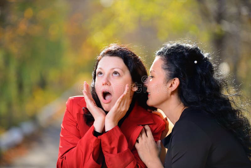 Gossips stock photo. Image of mouth, caucasian, confidence - 27293216