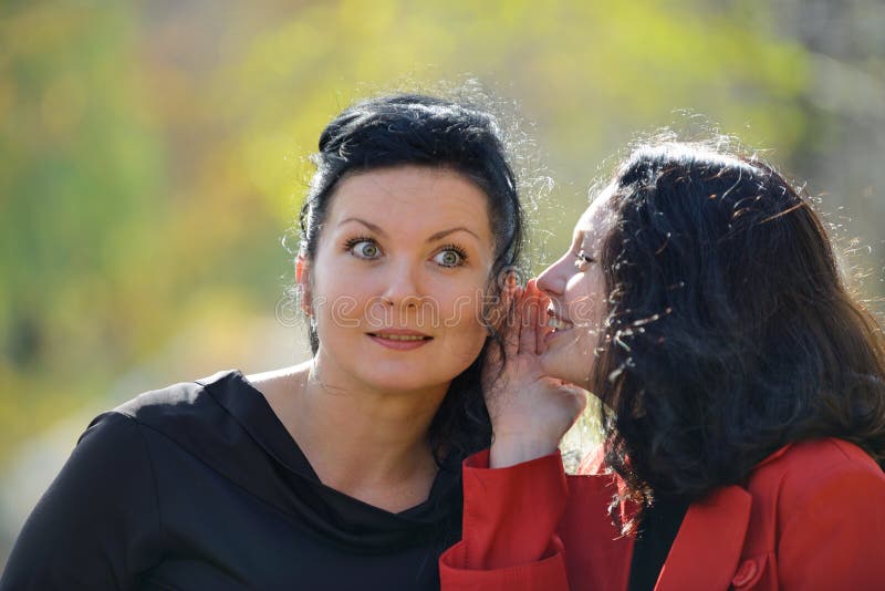 Gossips stock image. Image of friendship, listening, humor - 27293237