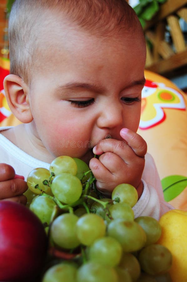 Bebé que come uvas foto de stock. Imagem de vitaminas - 27216456