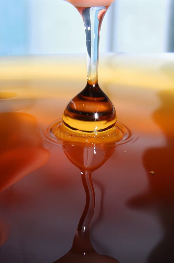 Goteo del oso de miel imagen de archivo. Imagen de goteo - 5498673