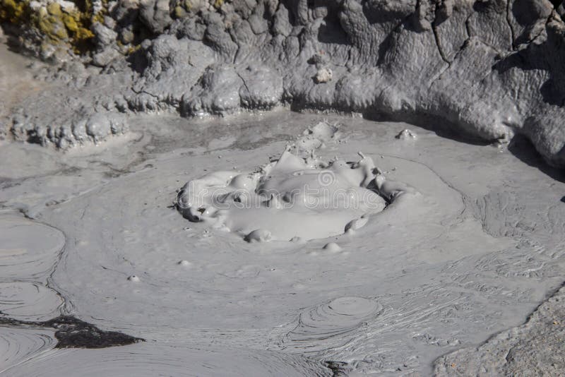 imágenes comunes del Fango - los derechos de la transferencia directa ...