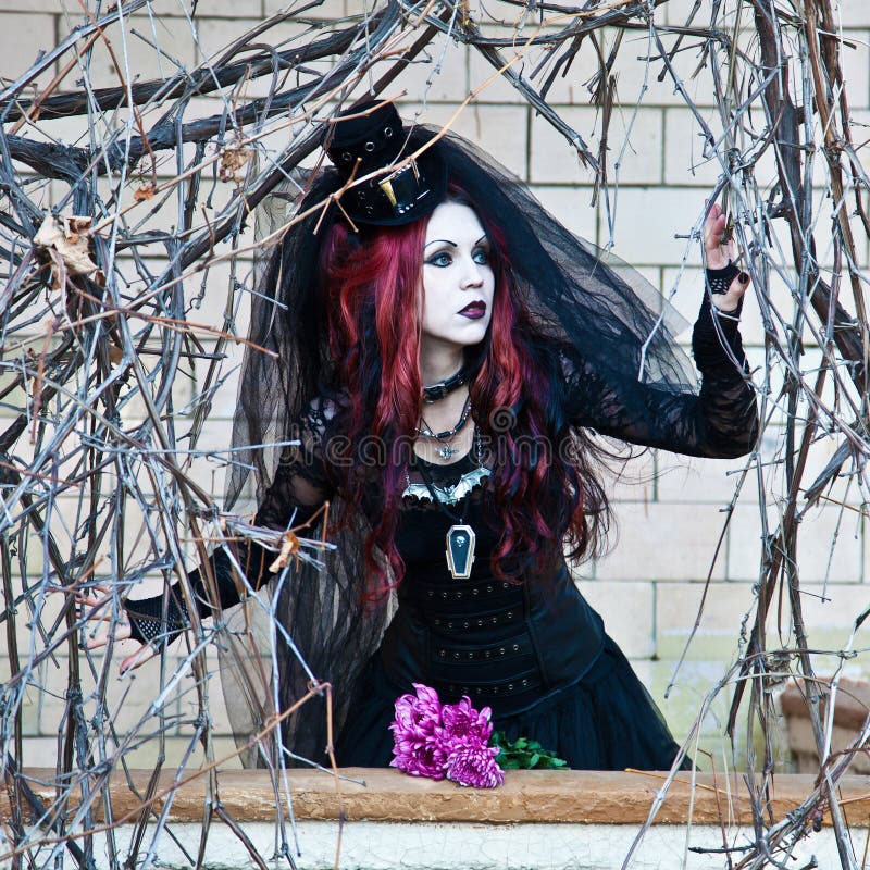 Goth stock image. Image of goldendaisy, evil, horror - 36245399