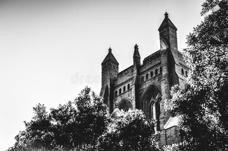 Gothic cathedral trees stock image. Image of famous - 392904681