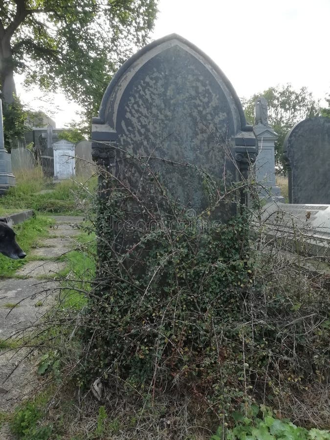 Gothic graveyard stock photo. Image of church, gothic - 1491540