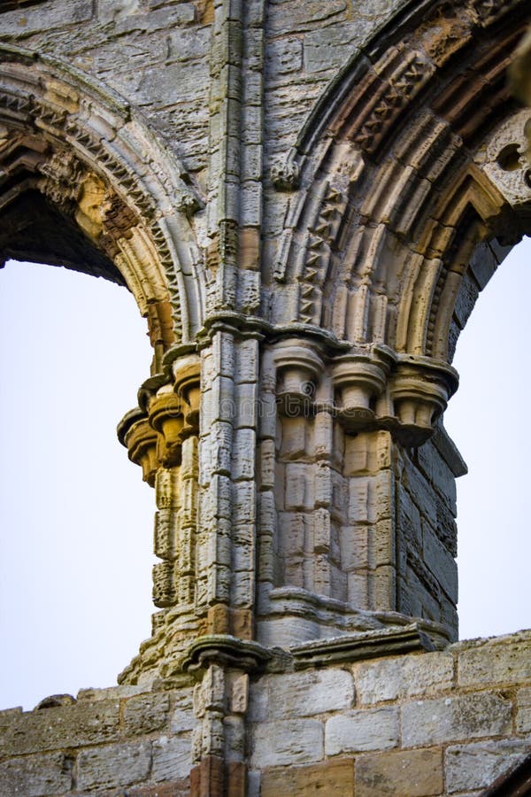 Gothic Pillars Library