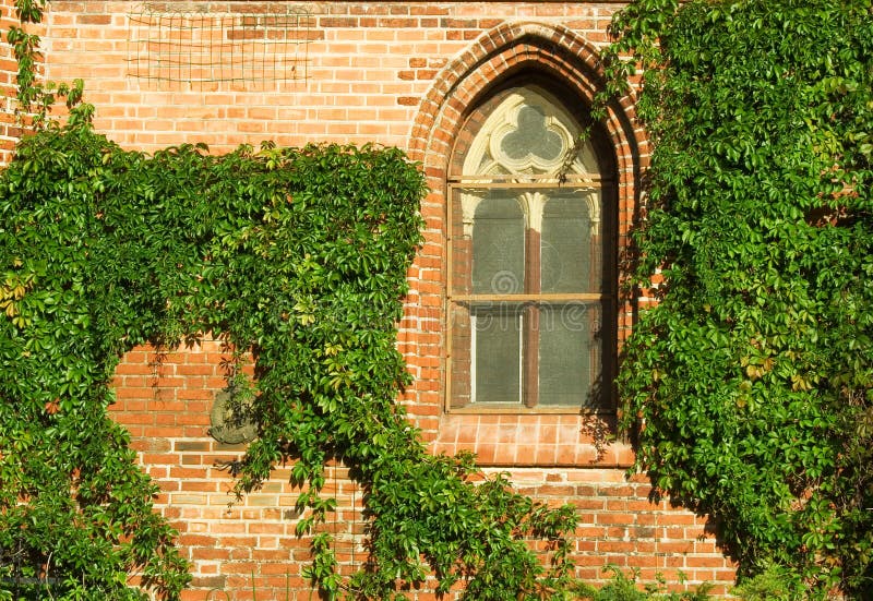 Gothic Window stock image. Image of grunge, design, palace - 23687703