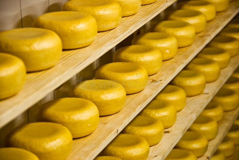 Gouda 4 you stock photo. Image of piles, round, sell, fermented - 772712