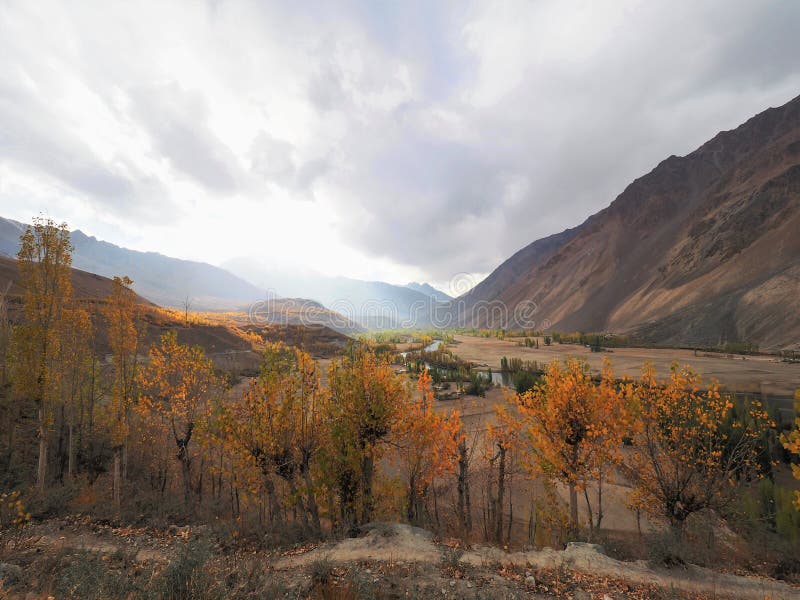 Gouden Autumn in Phander Valley, Phander-Meer, Ghizer-District, Gilgit ...