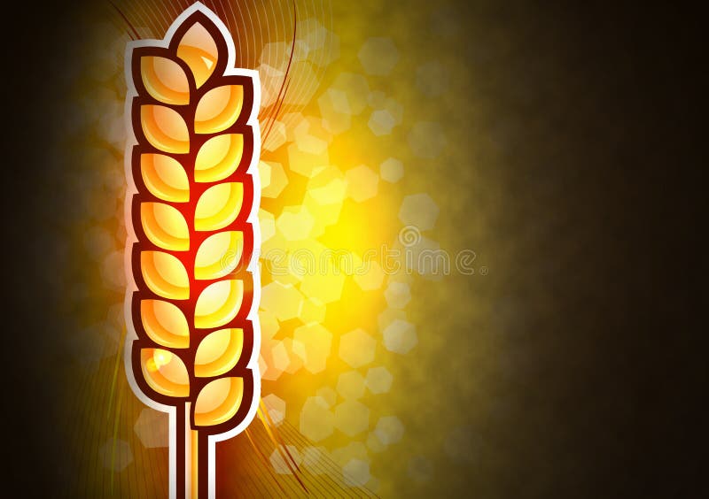 Graan vector illustratie. Illustration of tekening, organisch - 15531793