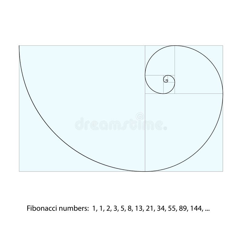 Gouden Verhouding De Spiraal Van Malplaatjefibonacci Vector Illustratie ...