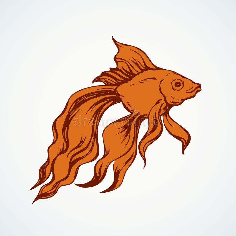 Gouden Vissen Vector Tekening Vector Illustratie - Illustration of ...