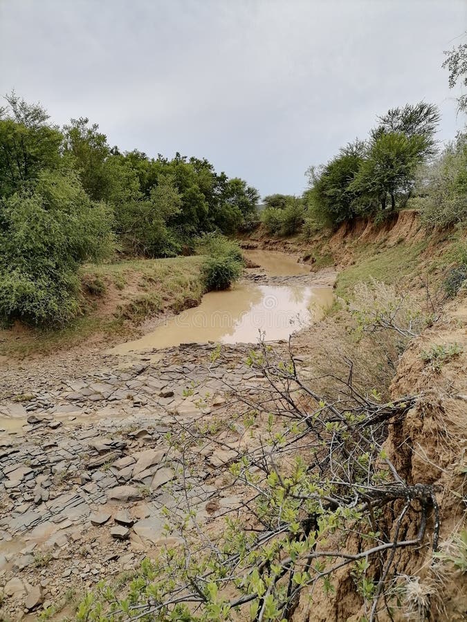 The Gouge View stock image. Image of tree, waterway - 224469677