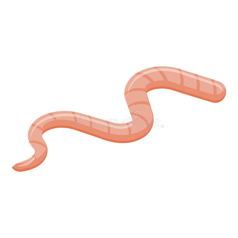 Gound Worm Icon Isometric Vector. Garden Worm Stock Vector ...